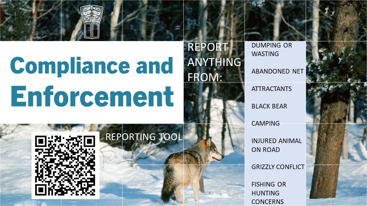 Compliance & Enforcement - Nisg̱a’a Lisims Government